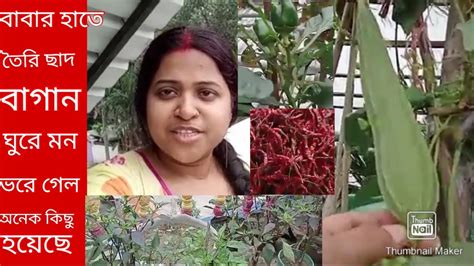 সাজিয়ে গুছিয়ে তৈরি ছাদ বাগান দেখে মন ভরে গেল।। নানা রকমের ফল ফুল সবজির চাষ ছোট্ট ছাদ বাগানে