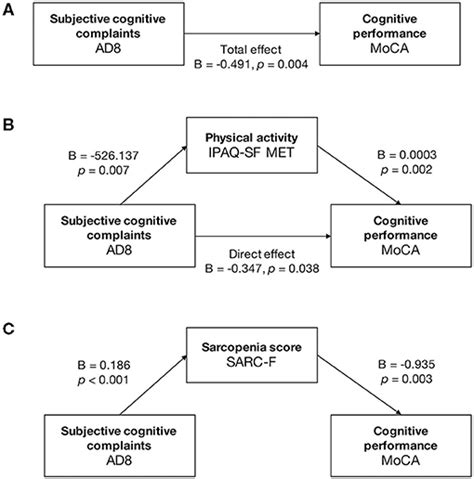 Frontiers White Matter Integrity Underlies The Physical Cognitive Correlations In Subjective