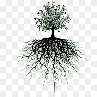 Tree Of Life Png PNG Transparent For Free Download PngFind