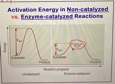 Biochem Chapter 6 Flashcards Quizlet