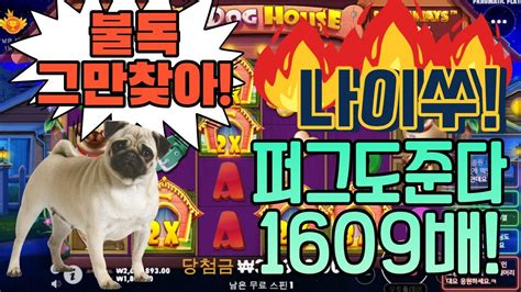 슬롯잭팟 생방중에 터진 도그하우스메가웨이즈1609배 영상입니다 제리슬롯 슬롯머신 프라그마틱 슬롯초보 슬롯라이브 실시간슬롯 라이브슬롯 슬롯 프라그마틱