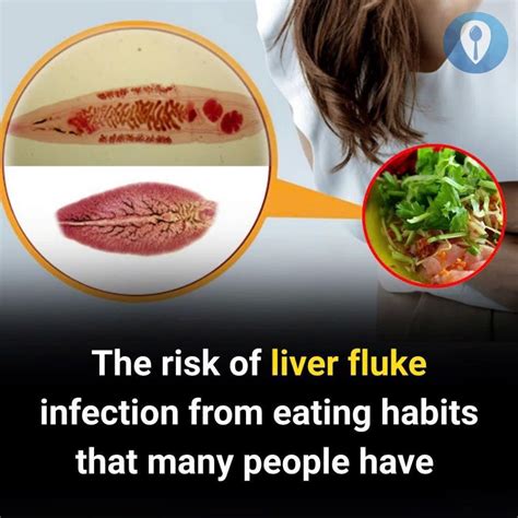 Feedy The Daily Food Habits That Could Put You At Risk Facebook