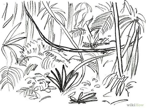 Rainforest Drawing Easy At PaintingValley Com Explore Collection Of Rainforest Drawing Easy