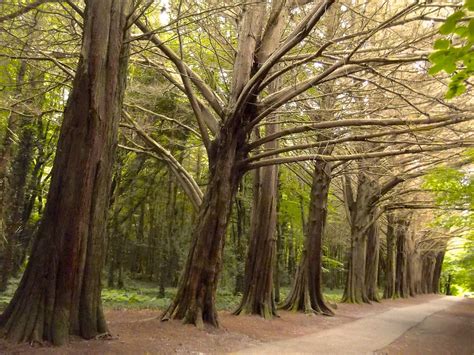 Armando JosÉ Sequera