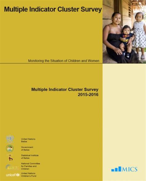 Belize Multiple Indicator Cluster Survey 2015 2016 Caribbean Development Portal