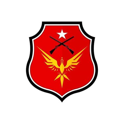 တနင်္သာရီတိုင်း၊ ထားဝယ်ခရိုင် ၊ ဒေါင်းညီနောင်စစ်ကြောင်း Facebook