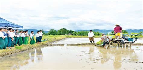 မိုးညှင်းမြို့နယ် မြိုင်ကျေးရွာ၌ ကောက်စိုက်စက်ဖြင့် စပါးစိုက်ပျိုးနည်းကွင်းသရုပ်ပြပွဲကျင်းပ