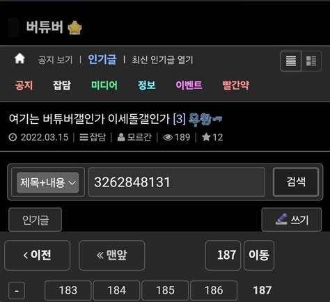 나정도면 뉴비임 버튜버 에펨코리아