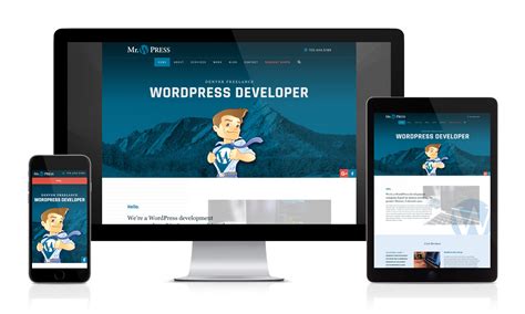 Mr Wpress Website Design By Visual Lure Of St Louis