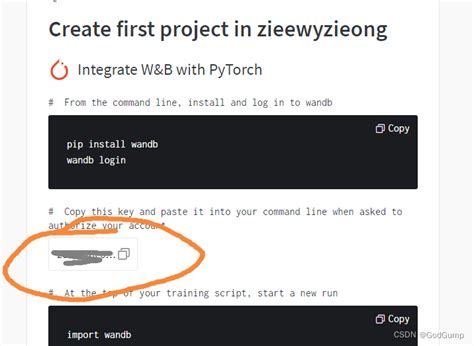 wandb errorsageerror api key not configured no tty call wandb login key [your api wandb