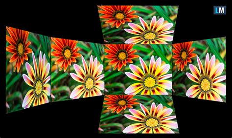 华硕zenbook 17折叠式oled（ux9702）评测 折叠式设备有前途吗？ 显示质量 健康影响（pwm） 声音 Laptopmedia 中国