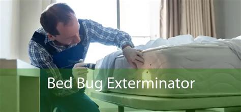 Bed Bug Exterminator Best Bed Bug Exterminator