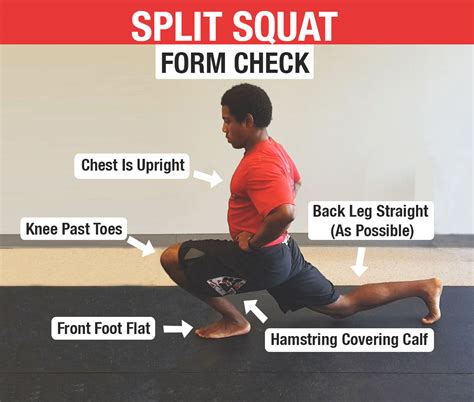 Split Squat Description At Chad Christensen Blog