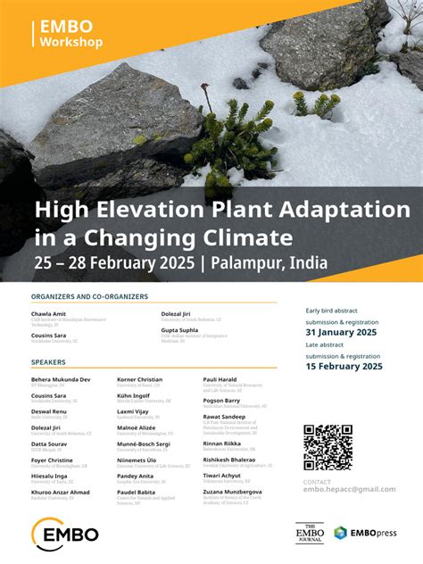 25 Plant Adaptation Poster Pdf