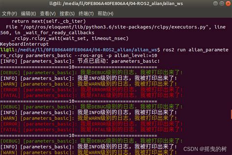 【ros2】momo的鱼香ros2（六）ros2入门篇——ros2通信之参数与动作ros2动态参数设置 Csdn博客