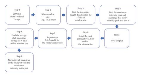 A The Schematic Diagram Representing The Hardware Setup Of The SS OCT Download Scientific