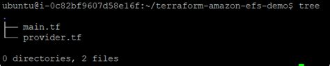 How To Use The Terraform Efs Elastic File System Module Techsyncer
