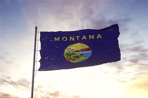 Montana Web Design Strottner Designs