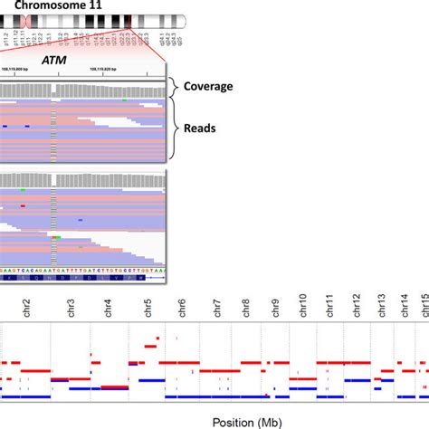 A Integrative Genomics Viewer Igv Image Of The C1215delt Indel