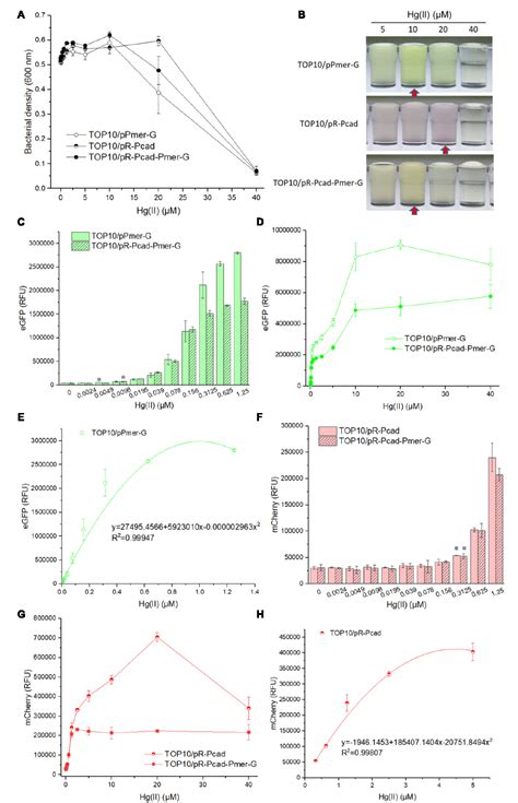 Figure 1 From Differential Detection Of Bioavailable Mercury And