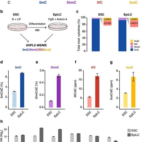 Global Increases In Cytosine Modifications Accompany The Transition Download Scientific Diagram
