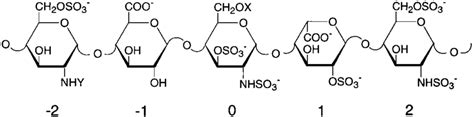 Structure Of Antithrombin Iii Pentasaccharide Binding Site The Central