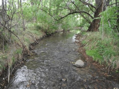 141 Pool Riffle Habitat Was Present Within The Reach Download Scientific Diagram