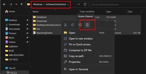 Rename Or Delete Software Distribution Folder In Windows 1110