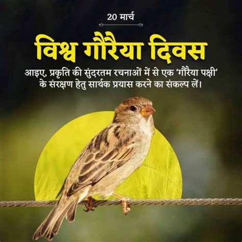 Piyush Bhatt Dance 🪩 Instagram