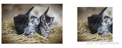 一段代码玩转数据增强的n种方法 知乎