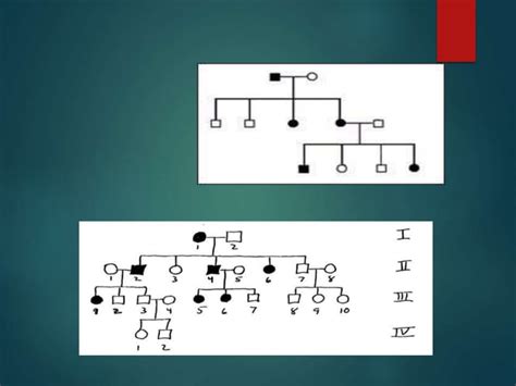 Inheritance Autosomal And Sex Linkedppt
