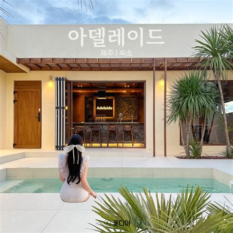 제주 독채 풀빌라 제주도 서쪽 숙소 펜션 아델레이드 네이버 블로그