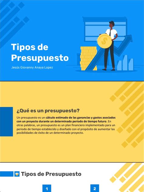 Tipos De Presupuesto Pdf Presupuesto Inversiones