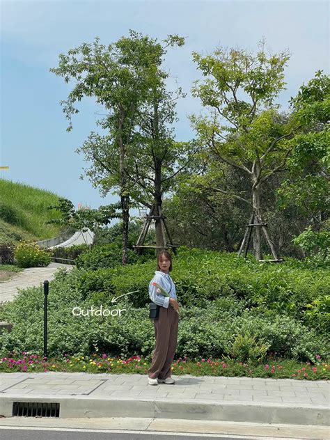 สวนดอกทิวลิป จ ระยอง 🌷 🫧💖 แกลเลอรีที่โพสต์โดย  🫶🏻 Lemon8