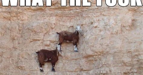 Just Hangin Meme On Imgur
