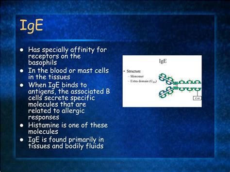 Ppt Immunology Basic Principles Of Adaptive Immunity And Immunizations Powerpoint