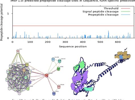 Figure 3 From In Silico Functional And Structural Annotation Of Rheumatoid Arthritis Linked Gene