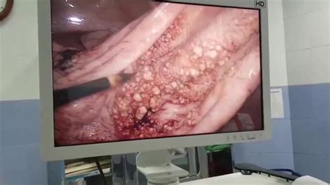 دکتر مریم عزیزی نژاد نماشا