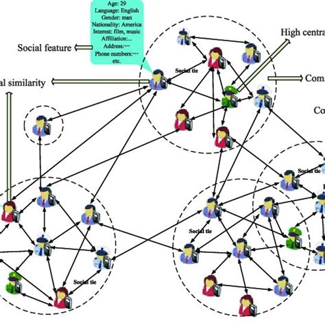 Typical Applications Of Msns Download Scientific Diagram
