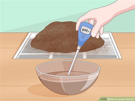 How To Lower Soil PH With Pictures WikiHow