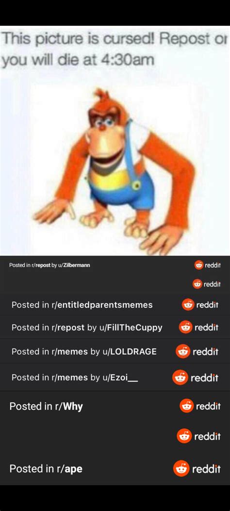 Noah Grab The Keys Ritstoolatenoah