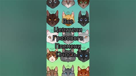 Все целители грозового племени эдит коты воители Warriorcats Warriors котывоители коты эдит