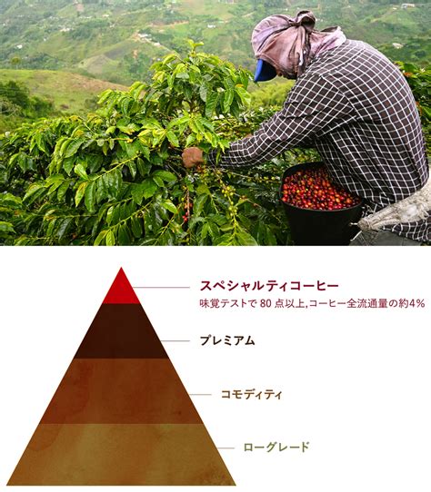 ブランド紹介 東和フードサービス株式会社
