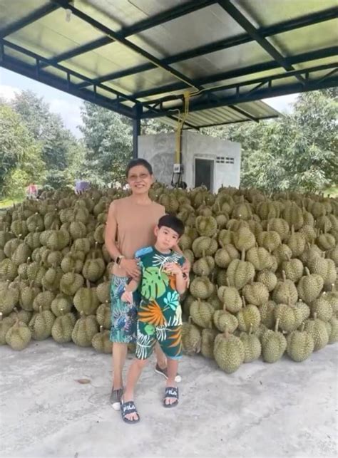 แนน ขอโทษแจงพ่อ ชลิต เฟื่องอารมย์ ทำสวน 30 กว่าไร่ ดูแลเอง ขายส่งทั้งสวน ไม่ได้ขายปลีก