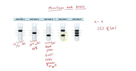 Solved Texts When Solution Of Cesium Chloride Cscl Is Subjected To