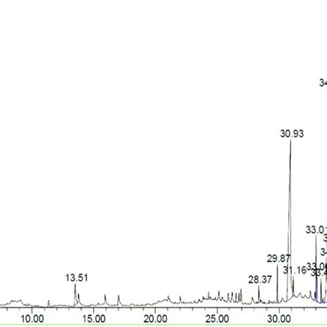 GC MS Analysis Biocompounds Of Essential Oils Download Scientific Diagram