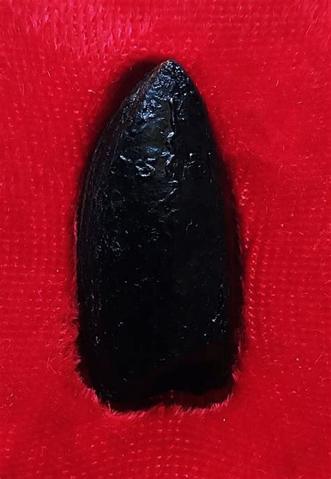 พระกริ่งคลองตะเคียน รุ่นเททองหล่อพระประธาน วัดกลางคลองตะเคียน กลางปากกราน อ พระนครศรีอยุธยา