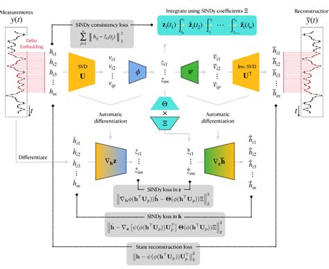 Summary Of Delay Sindy Autoencoders Algorithm The Tensor H Ij Denotes