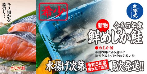 オホーツク産｜鮮 めじか鮭（新物／生／姿1本／冷蔵）｜オホーツク活魚 オホーツク活魚ネット