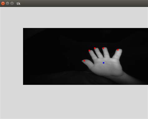 Position Of Specific Pixels After Un Distort Development Ultraleap Leap Motion Community